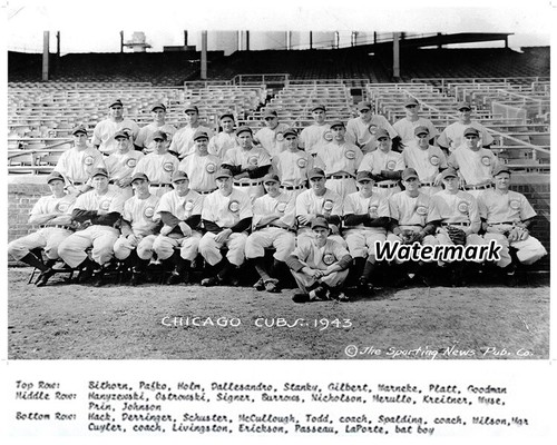 MLB 1943 Chicago Cubs Team Picture Black & White 8 X 10 Photo Picture ...
