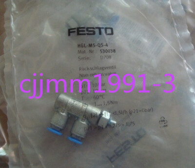 1PC NEW FESTO HGL-M5-QS-4 530038 | eBay