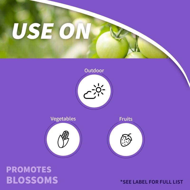 Bonide Tomato & Blossom Set Spray Ready To Use For Tomatoes ...