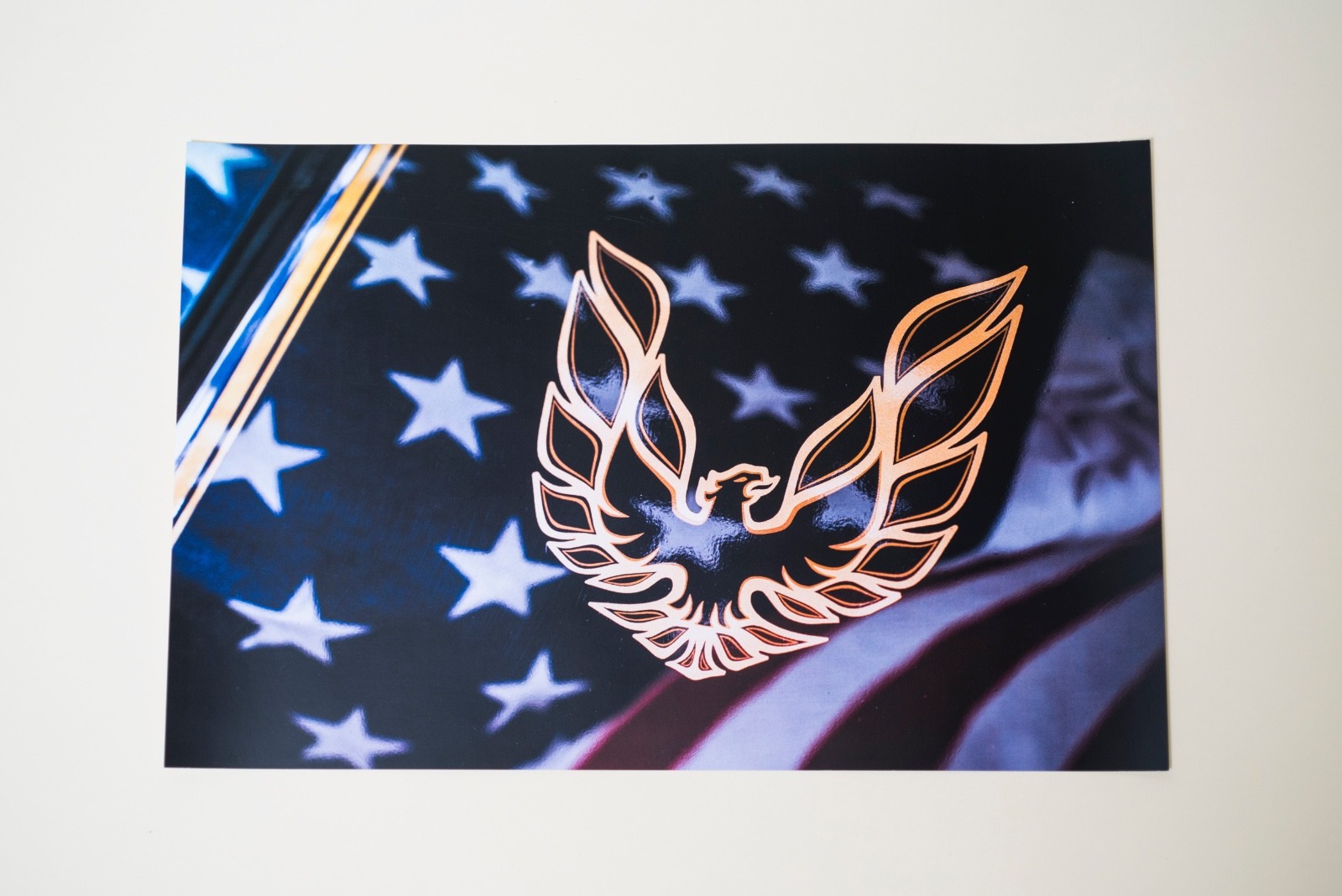 Trans Am Sail Panel American Flag Poster Tight Crop 11" x 17" | eBay