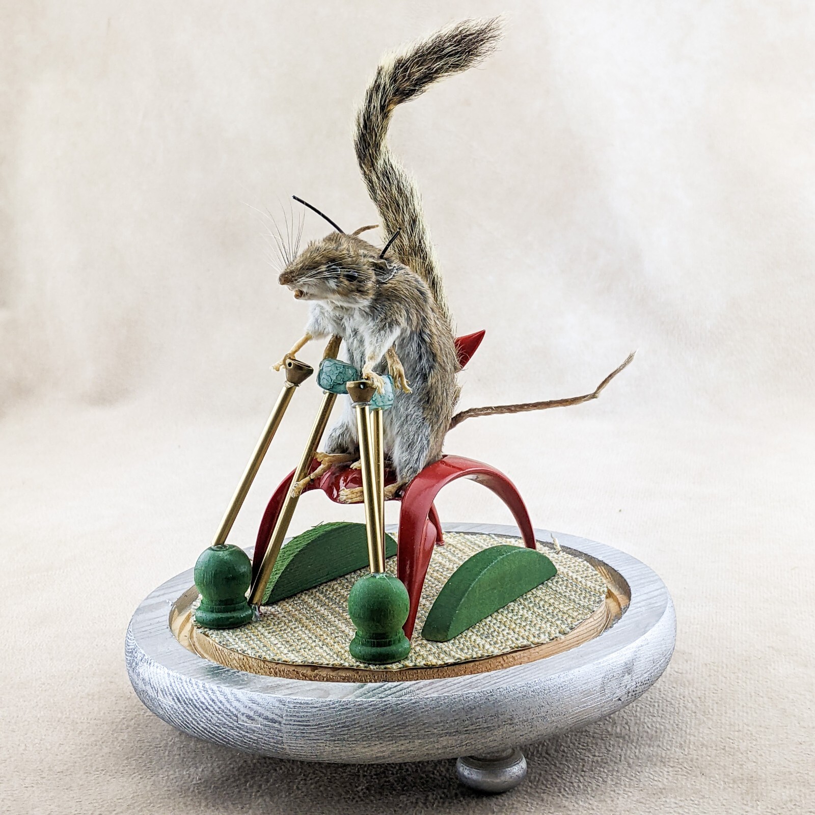 Alien Mouse Taxidermy Glass Dome Display Oddities Curiosities oddity ...
