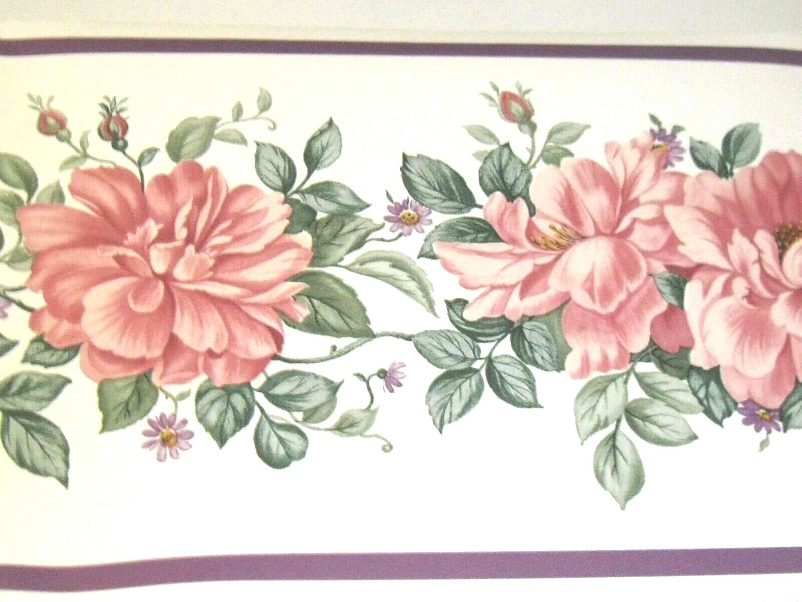 Wallpaper Border Large Pink Cabbage Roses Rose Purple Trim White Wall ...
