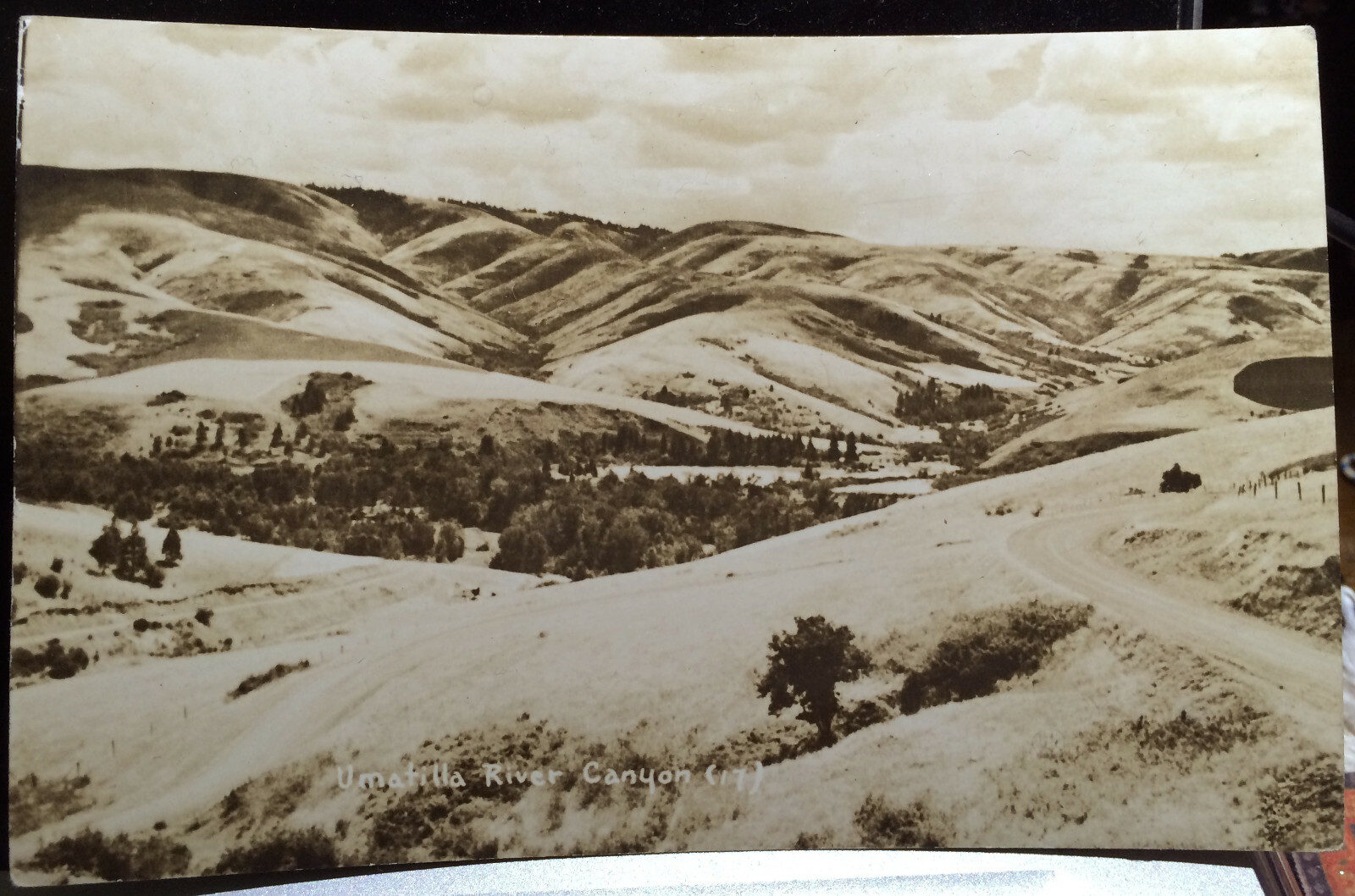 UMATILLA RIVER CANYON, OREGON Photo Post Card, LANDSCAPE, Umatilla ...