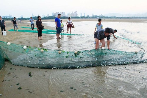 Hand Made Beach Seine/ Drag Nets Various Sizes | eBay