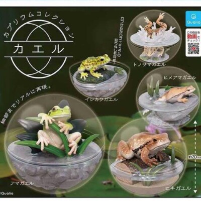 Caprium Collection Frog Figure 5 pcs Complete Set 2023 Qualia Japan | eBay