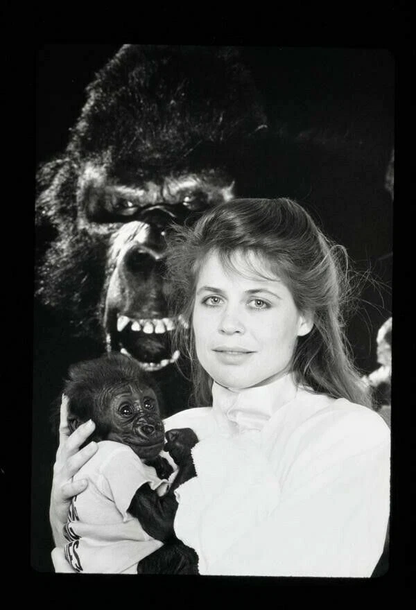 King Kong Lives Lady Kong