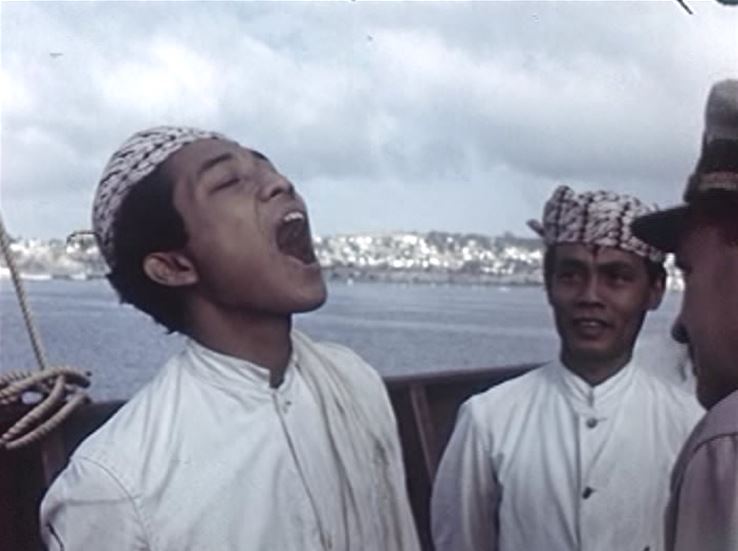 Quarantine Border Harbor Patrol U.S. Customs Service Vintage 1950s ...