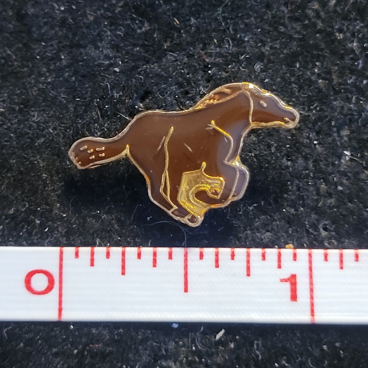 Pin Brown Mustang Horse Friends Of Animals | The BLM's Deadly Game Of