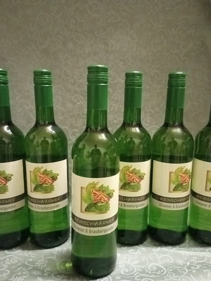 Restposten 6x750ml Häßlichetikett 2023 Rheinhessen Silvaner ...