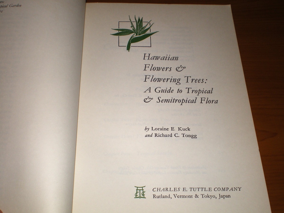 La Boda De Sarah Tuttle