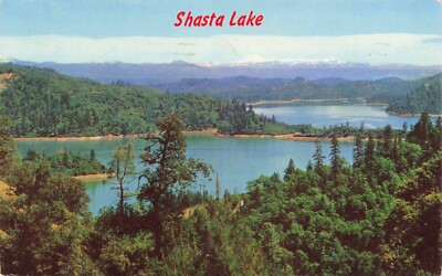 Shasta Lake California Scenic View Vintage Standard Chrome Postcard ...