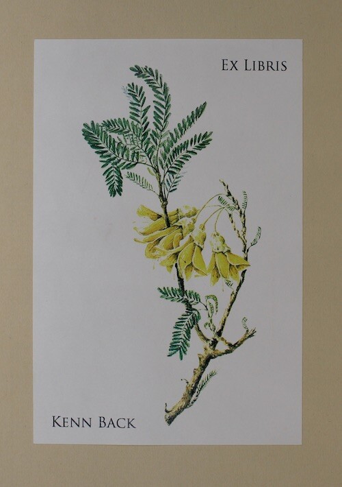 1926 HARALD SVERDRUP Polar Exploration ROALD AMUNDSEN Maud KENN BACK'S ...