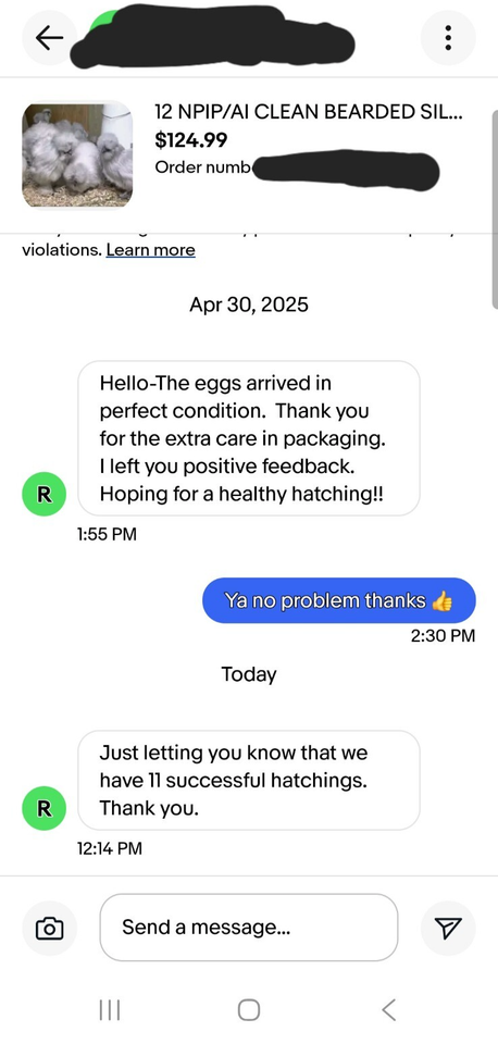 12 NPIP/AI CLEAN BEARDED SILKIE BANTAM HATCHING EGGS EXTREME SHOW ...