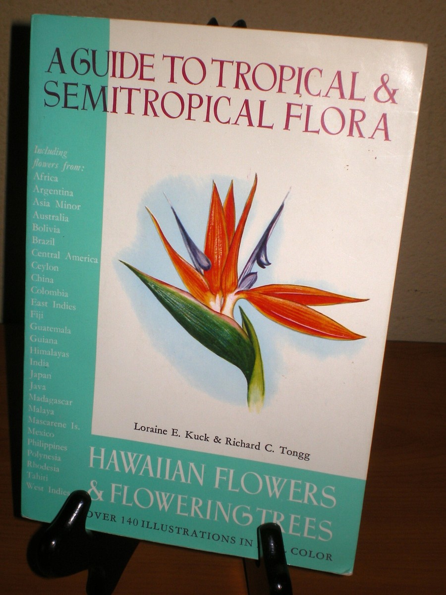 La Boda De Sarah Tuttle