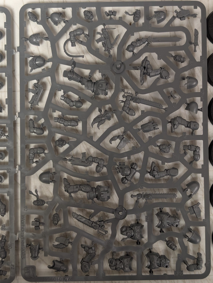 Space Wolves Grey Hunters, Primaris GW 40K | eBay