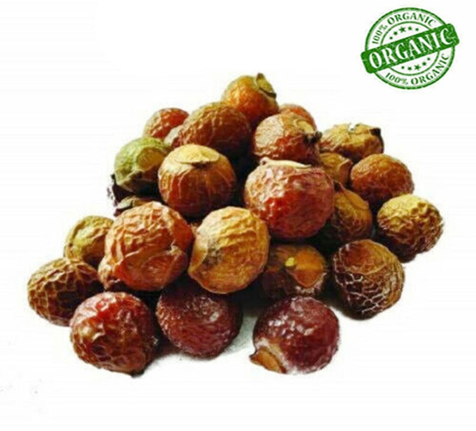 Aritha Reetha Fruits, Soap Nuts, Sapindus Indian Raw Whole Herbs for ...