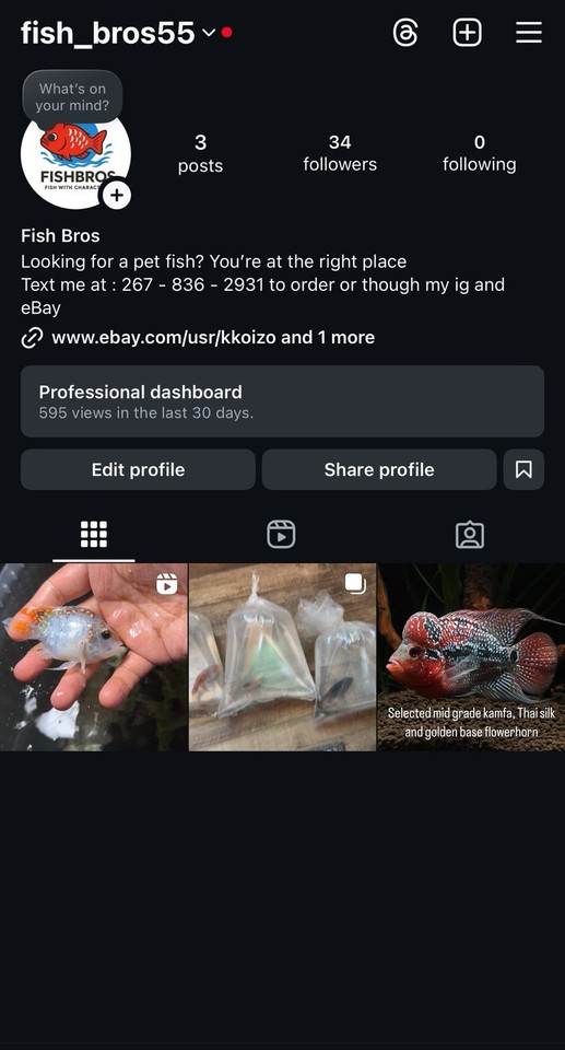 Female Red Mammon Parrot Cichlid | eBay