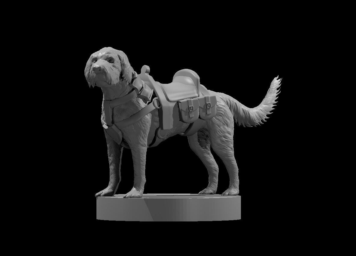 Labradoodle Cockapoo Dog Mount Monster Manual 28mm Scale DND D&D ...