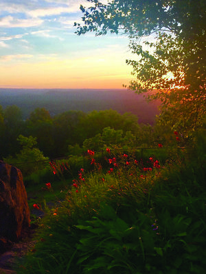 CANVAS Spring Awakening by Michelle Deegan 24x32 Wall Art Reproduction ...