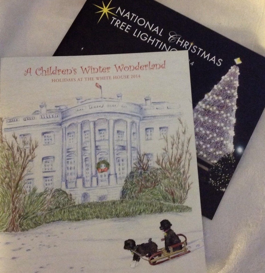 OBAMA GOLD PINS (2) INAUGURATION 2009 PRESIDENT BARACK - BIDEN DEMOCRAT ...