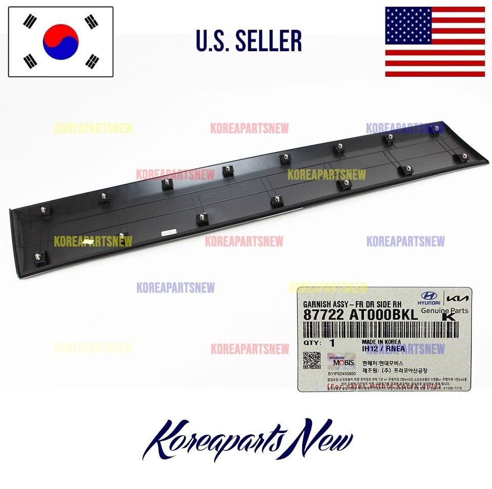 FRONT Door Lower Molding Right PASSN 87722AT000 Texture ⭐OEM⭐ Kia Niro ...