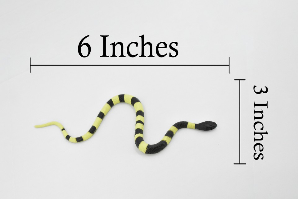 Banded Krait Snake, Rubber Reptile, Realistic Model Toy Hand Painted 6 ...
