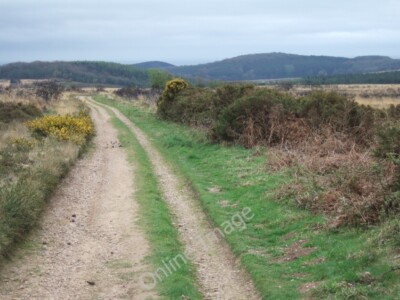 Photo 6x4 Track on Colaton Raleigh common Hawkerland c2011 | eBay UK