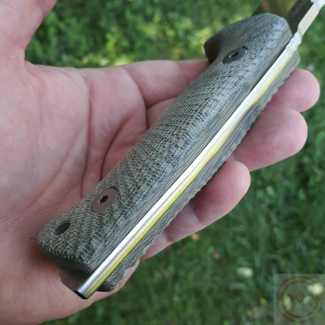 LionSTEEL T5 Fixed Knife 5" Niolox Tool Steel Blade Green Canvas ...
