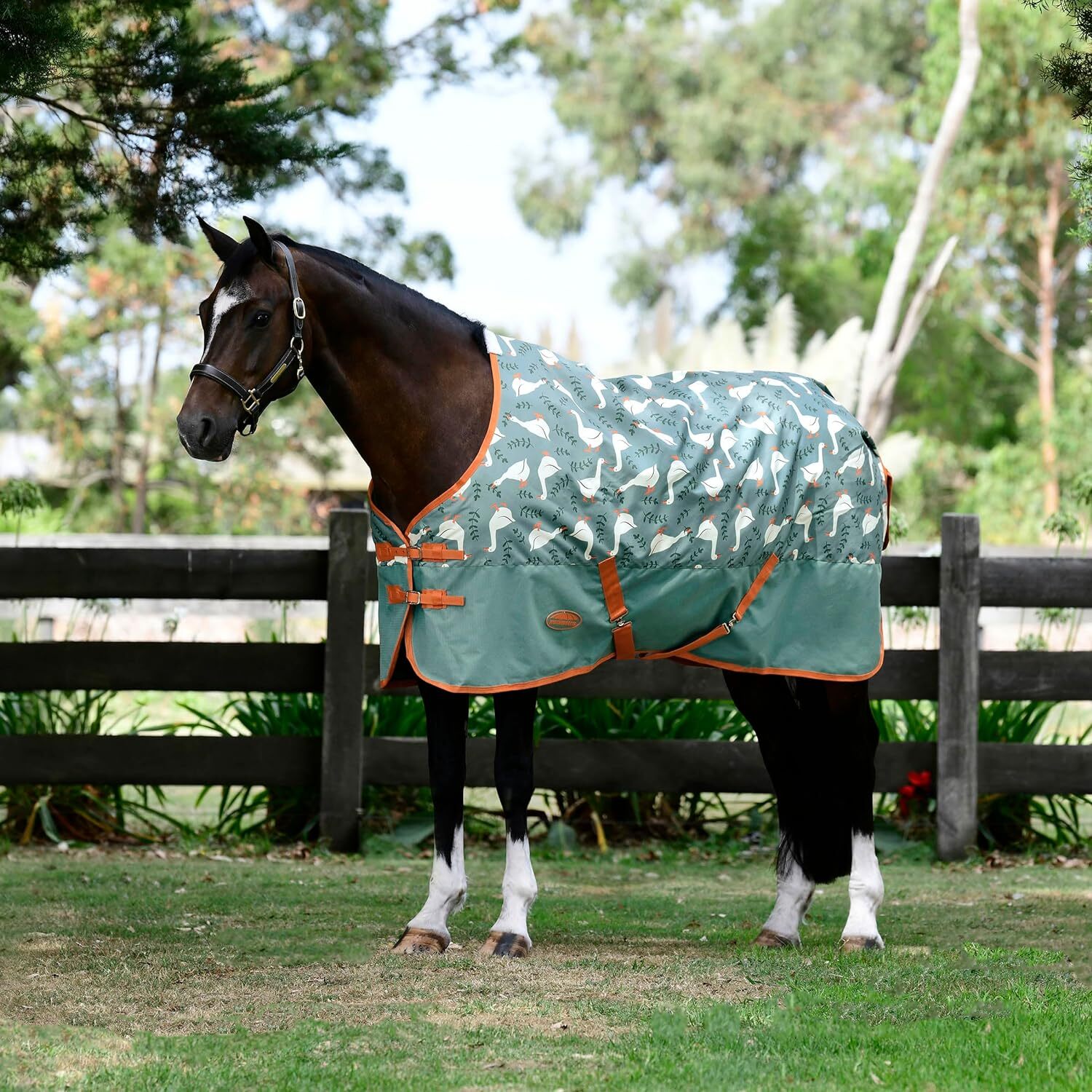 Weatherbeeta Comfitec Turnout Rug, Tyro Std Neck, Lite Plus, 50g, 2 ...