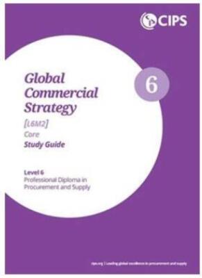 Global Commercial Strategy [L6M2] | eBay