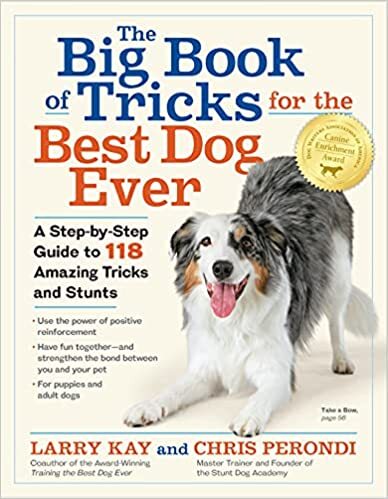 The Big Book of Tricks for the Best Dog PAPERBACK – 2019 by Larry Kay ...