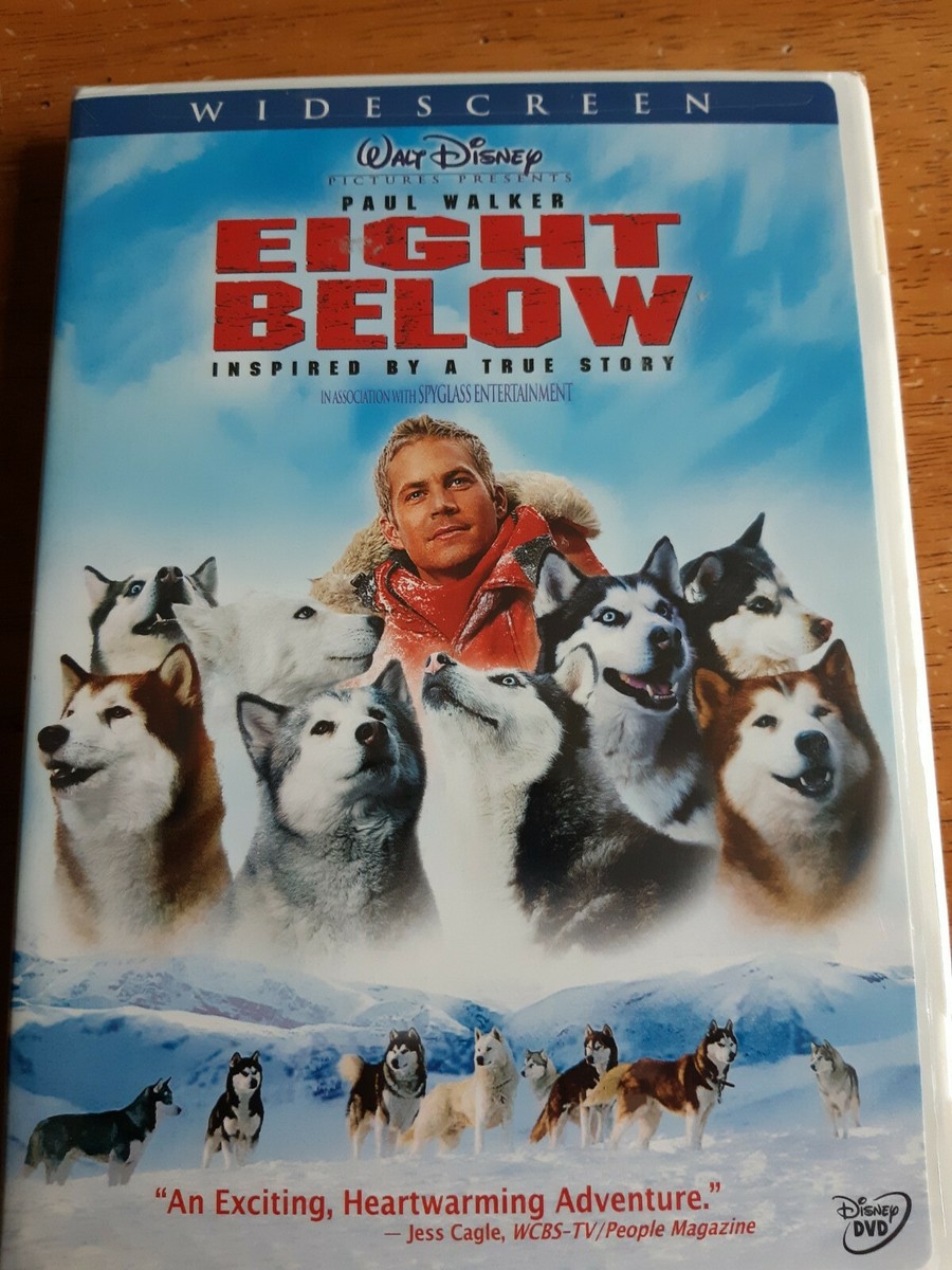 Eight Below Dewey And Truman