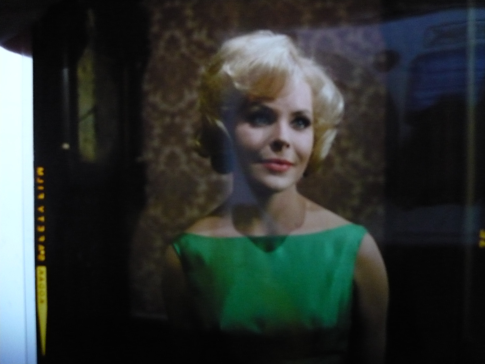 JANINE GRAY, 2.25" x 2.25" Transparency - from "QUICK BEFORE IT MELTS ...