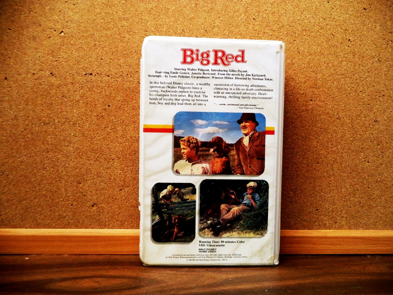 DISNEY'S BIG RED (VHS 195VS 1984) ORIGINAL PRESS, CLAMSHELL, | eBay