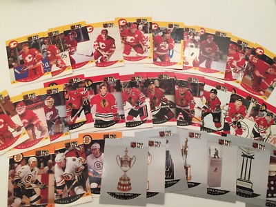 1990 PRO SET HOCKEY CARDS NHL EXCELLENT CONDITION GRETZKY MESSIER ROY ...