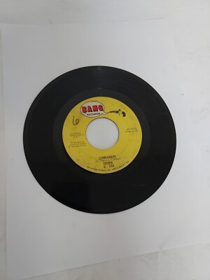 45 RPM Vinyl Record Derek Cinnamon Bang Records VG | eBay