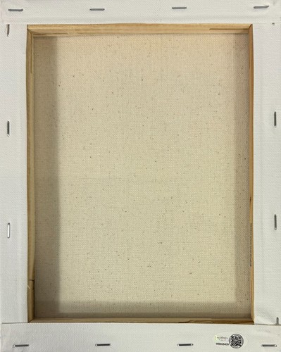 Nik Ranieri signed inscribed Original Artwork 8x10 canvas JSA Rapunzel ...