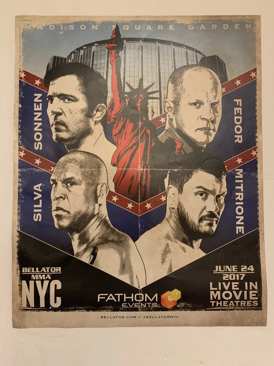 Ufc 180 Poster