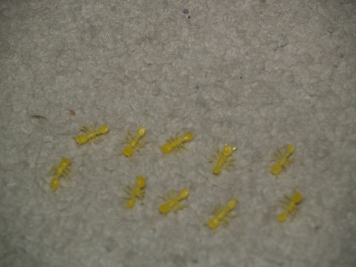 1969 Uncle Milton Ant Farm Game - replacement 10x yellow ants | eBay
