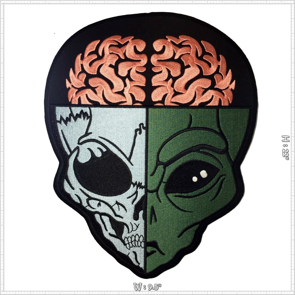 Alien Skulls With Brain
