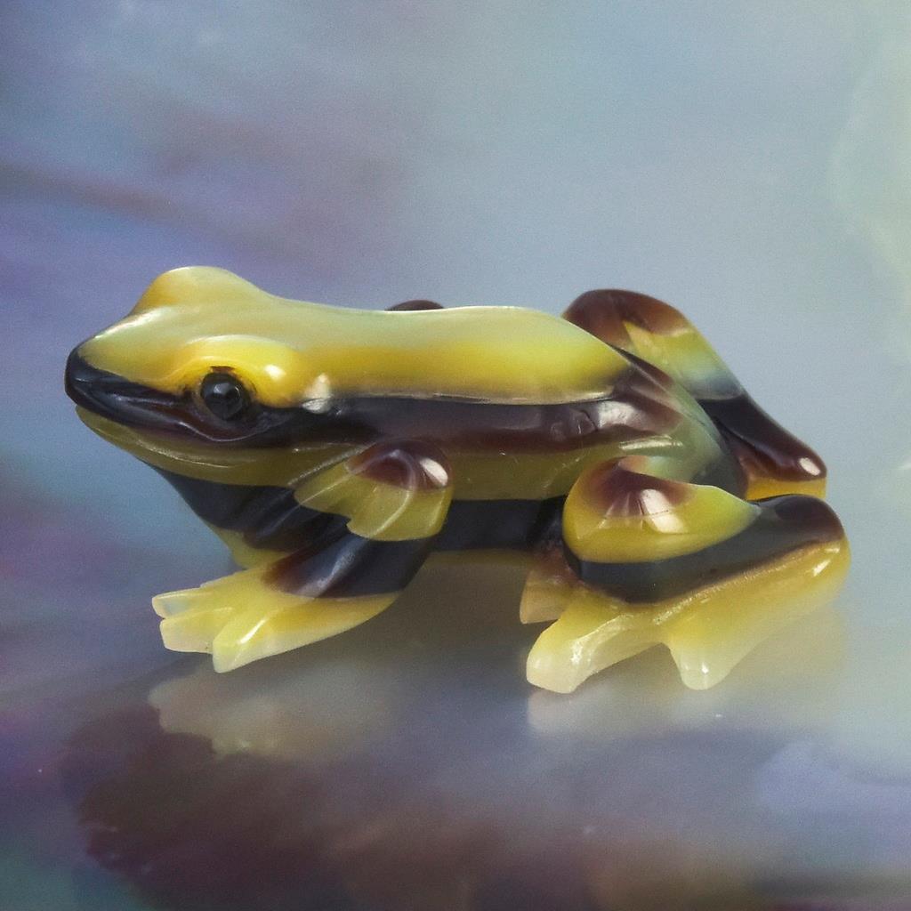 Curare Poison Arrow Frog Mother-of-Pearl Shell Carving Collection ...