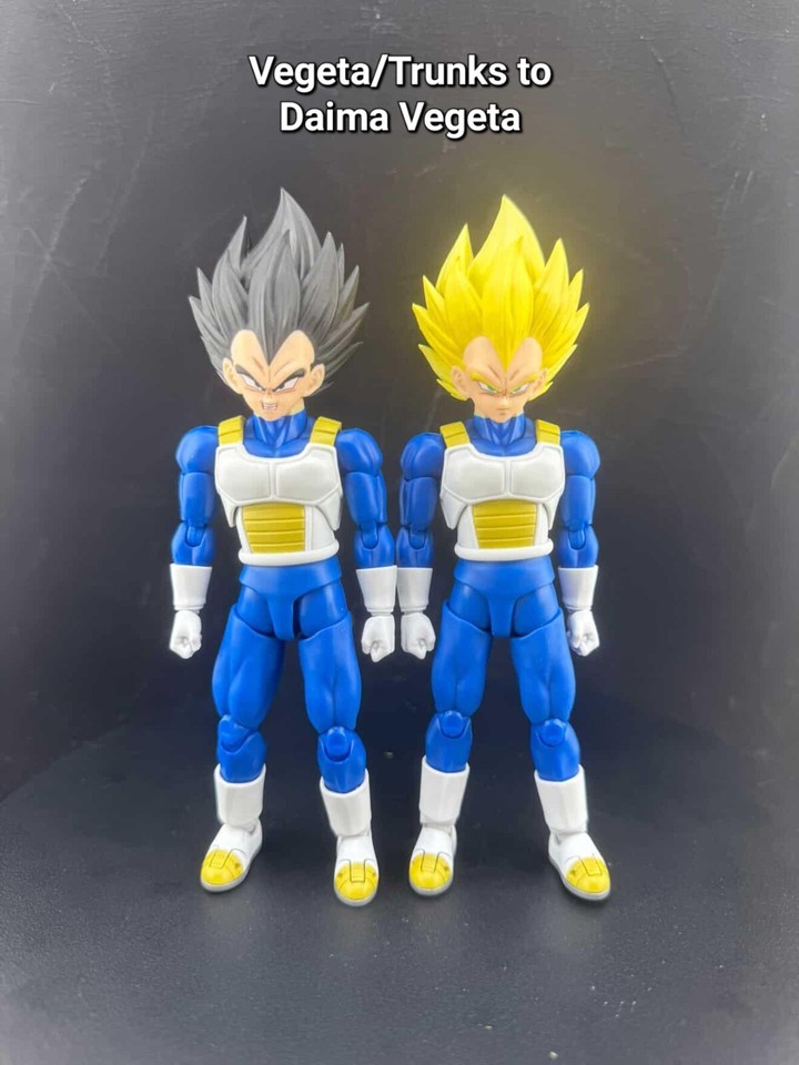 SHF Daima Vegeta Conversion Neck Pegs - READ DESCRIPTION! | eBay