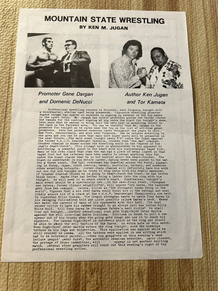 Mountain State Wrestling Program Flyer Magazine WWF NWA AWA VINTAGE ...