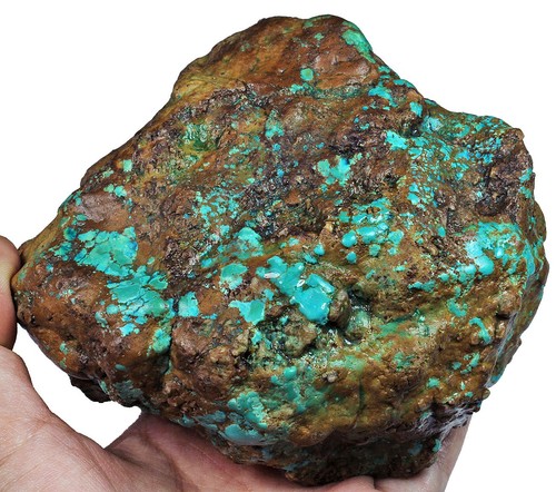 4901Ct Arizona Turquoise Rough Specimen Old stock YNS1639 | eBay