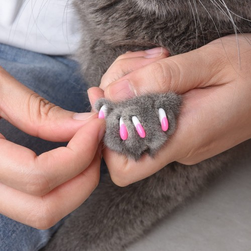Nail Caps for Cats Pure White and Coral Red, Small - Safe, Stylish ...