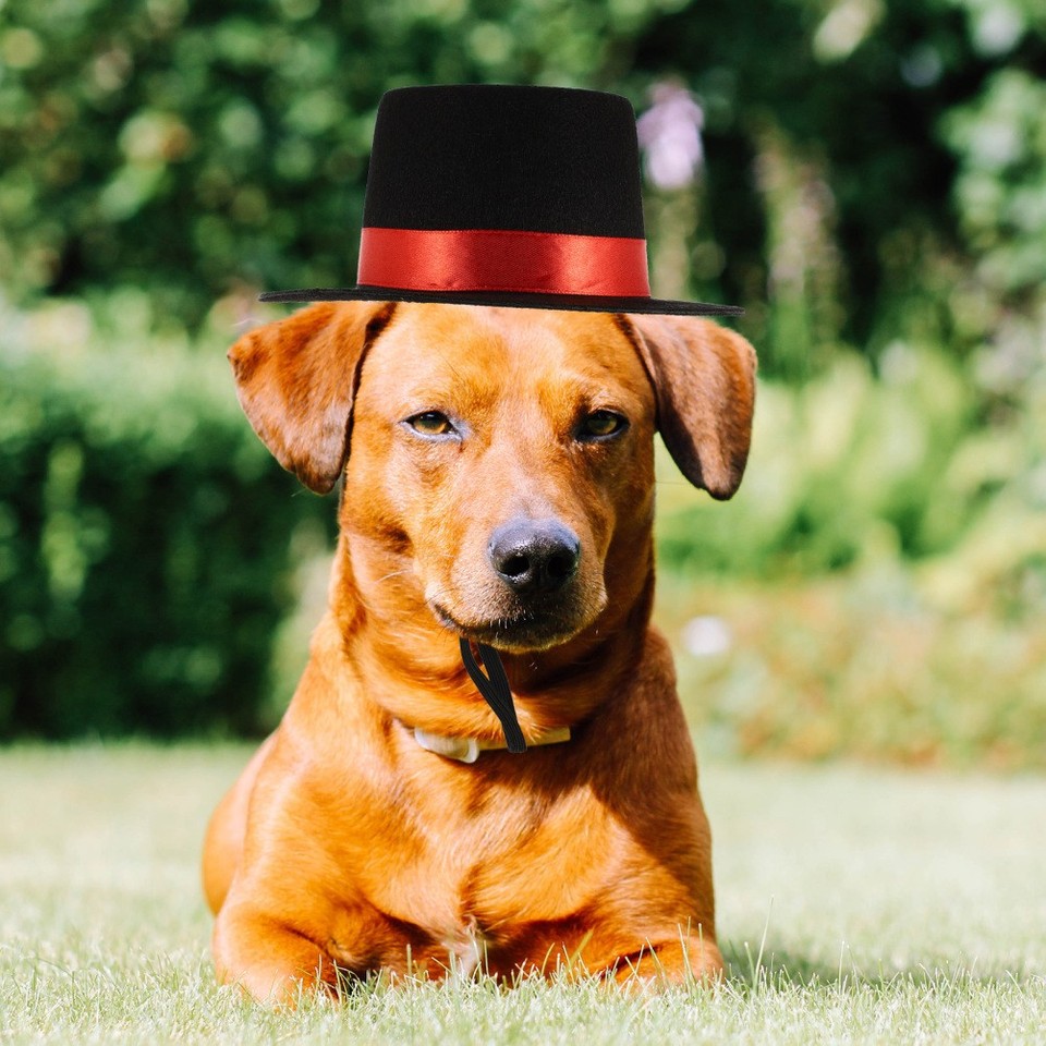 Adorable Pets Tops Hat Prop Decorative Puppy Tops Hat Lovely Pet Hat ...