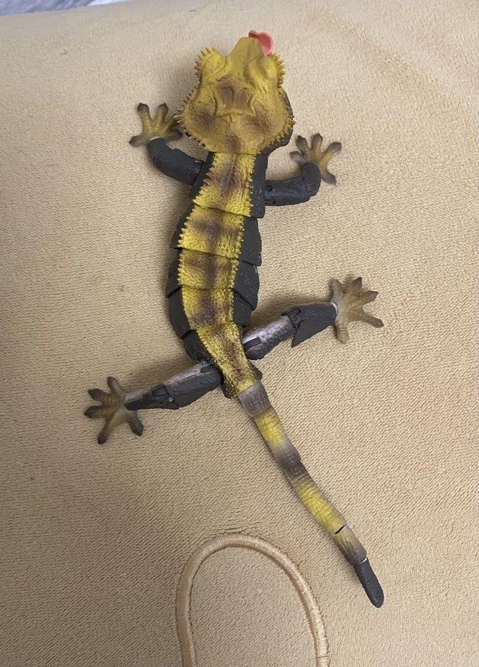 A Great Guide To The Creatures Crested Gecko Bicolor Gacha | eBay