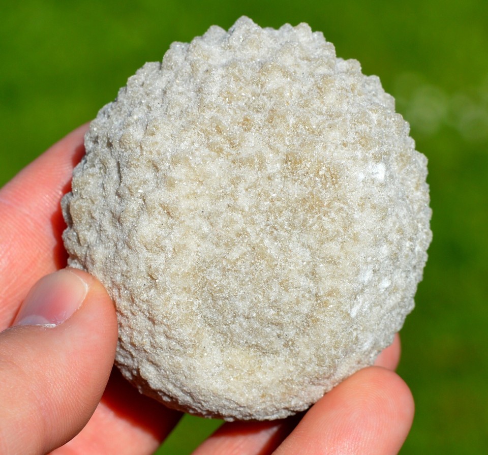 Calcite Var. Sand-Calcite 263 Grams - Fontainebleau, Seine-et-Marne ...