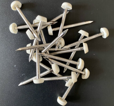 50x 30mm Cream White UPVC Plastic Headed Pin Nail PolyTop A4 Stainless ...