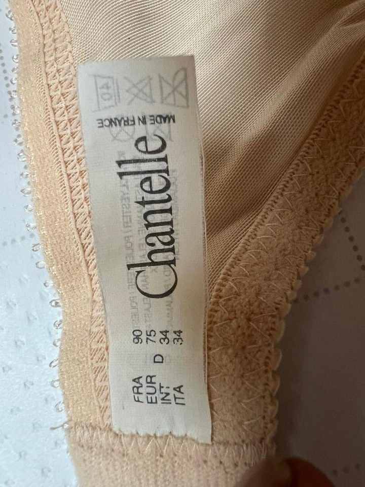 Chantelle T-Shirt Bra 34D NEW MADE IN FRANCE | eBay